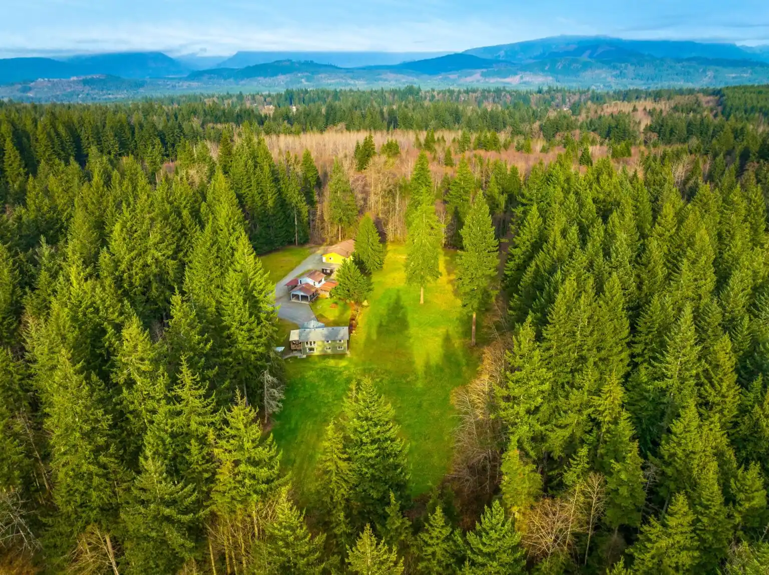 Rustic Cabin Reno | Lamb & Co.