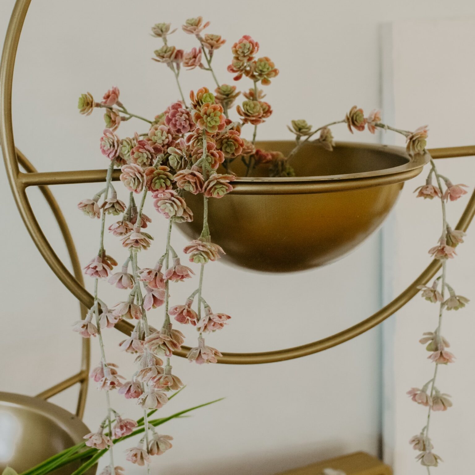 Lamb & Co. with HGTV's Lyndsay Lamb and Leslie Davis